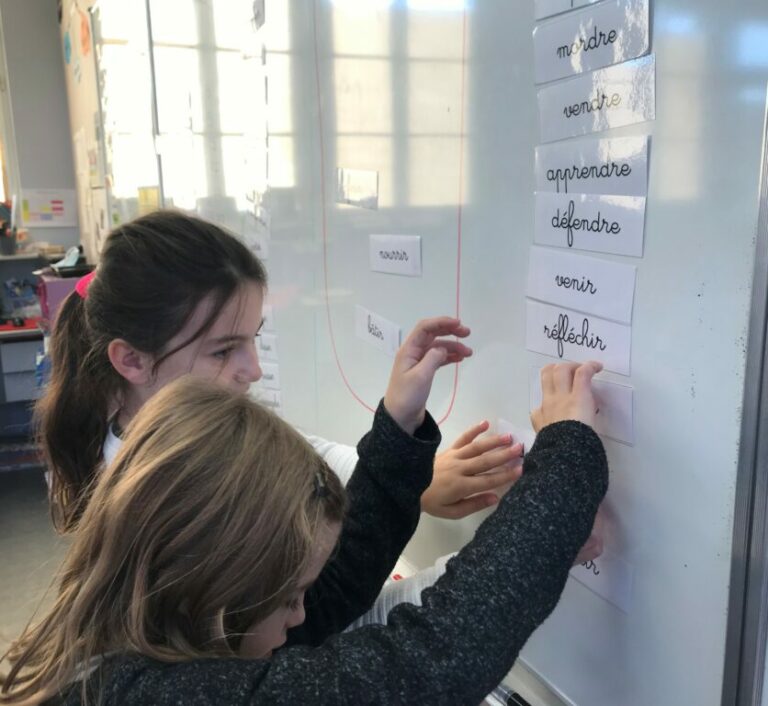 Trier des verbes pour une séance de conjugaison